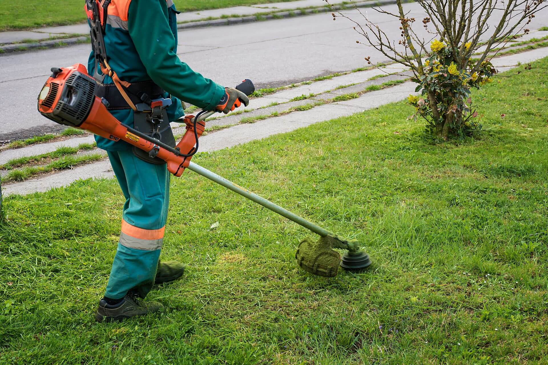 Landscape Maintenance - About CFS